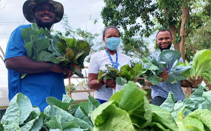 CG Atlantic’s Backyard Garden | CG Insurance | International